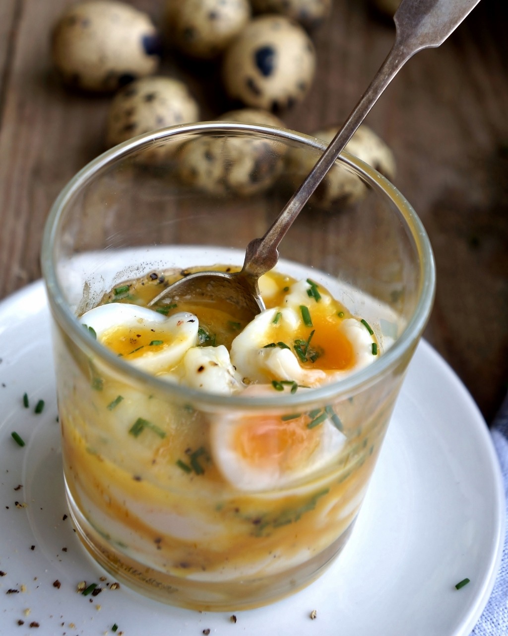 KŘEPELKY DO SKLA - Colors Of Low Carb